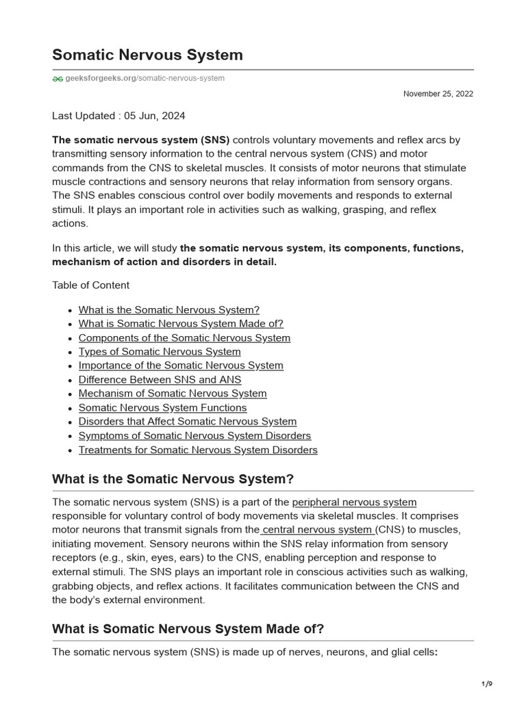 Somatic Nervous System | PDF | Motor Neuron | Nervous System