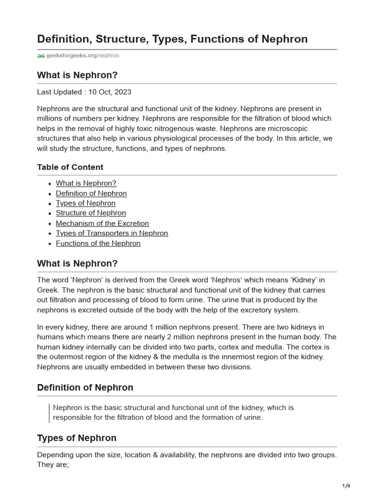 Definition Structure Types Functions of Nephron | PDF | Kidney | Abdomen