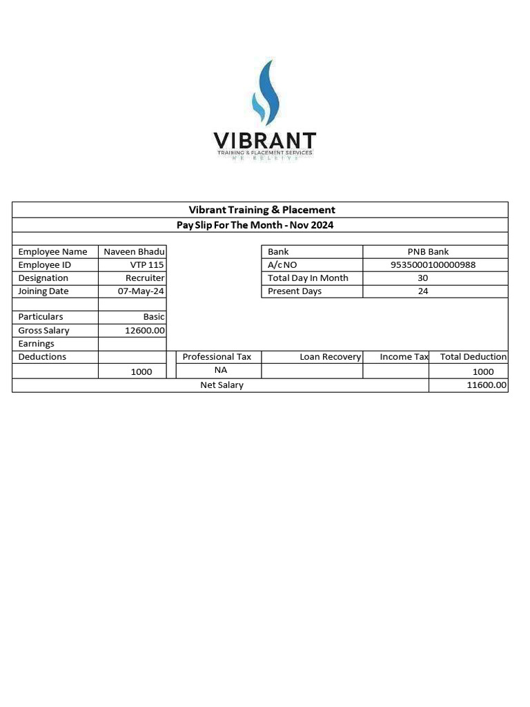 November 2024 Pay Slip for Naveen Bhadu | PDF