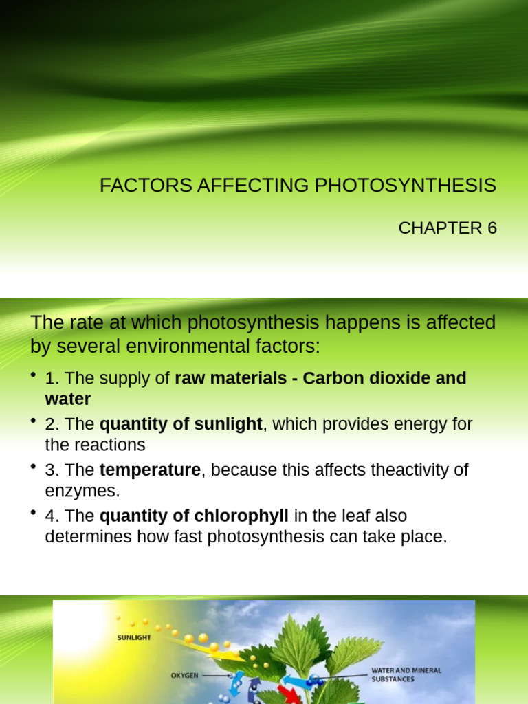 Ch-6 Factors Affecting Photosynthesis | PDF | Photosynthesis | Biology