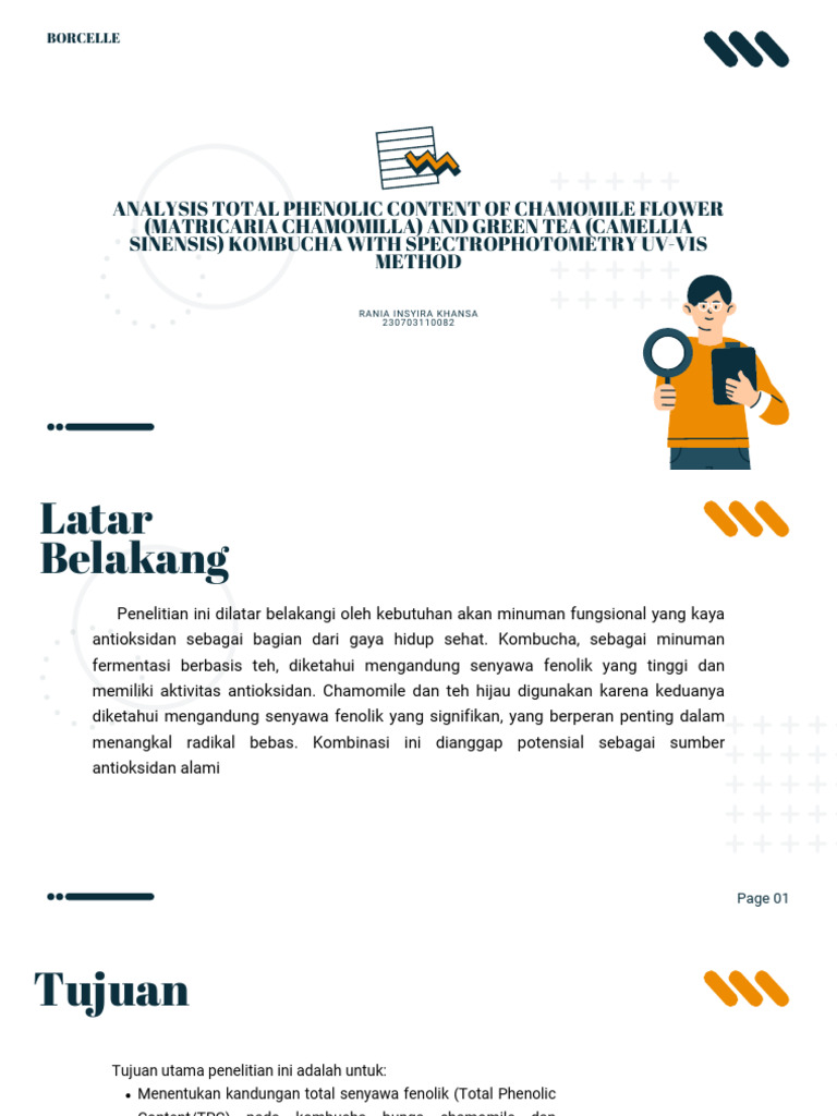 Ilovepdf Merged | PDF