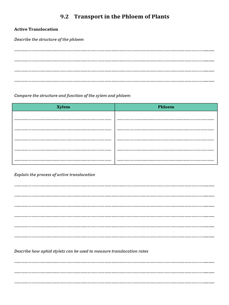 38 DP Plan Topic 9.2 Worksheet | PDF