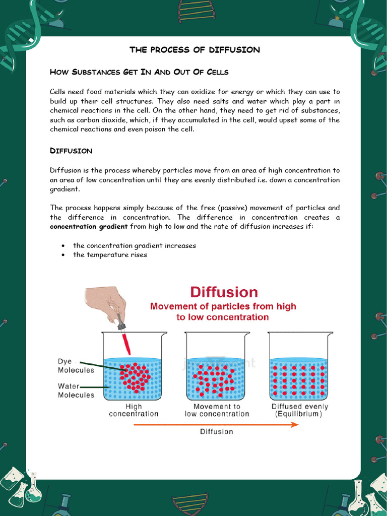 Understanding Cell Diffusion Processes | PDF
