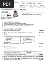 P6 Mathematics National Exam Practice | PDF | Area