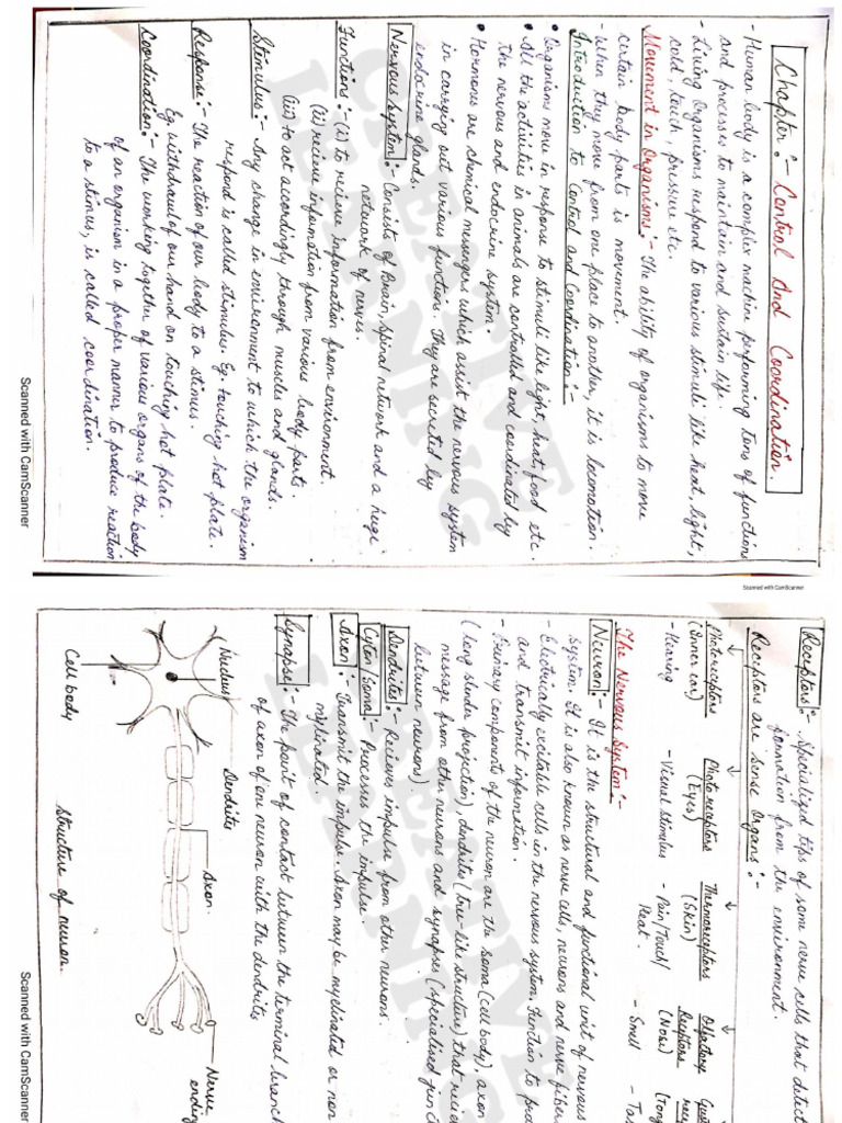 Chapter 7 Control and Coordination | PDF