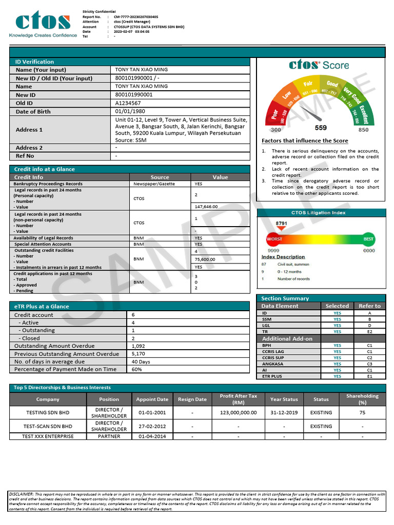 V19 CTOS SCORE Report Individual | PDF | Credit | Finance & Money ...