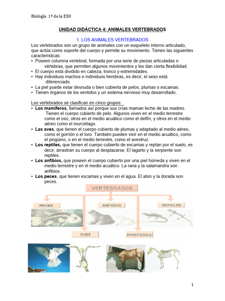 animales-vertebrados | PDF | Reptil | Anfibio