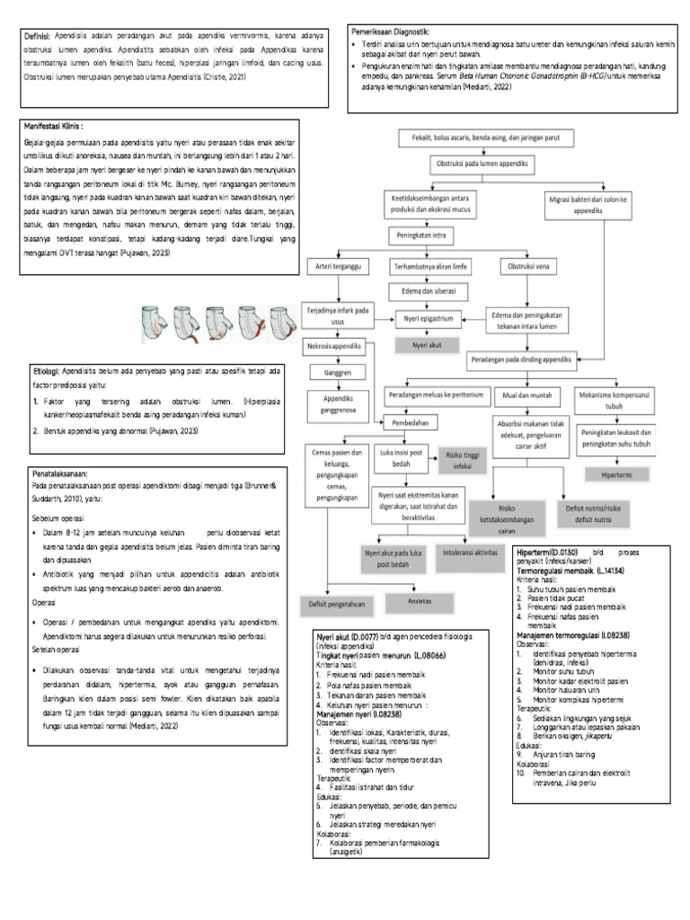 Woc Apendisitis | PDF