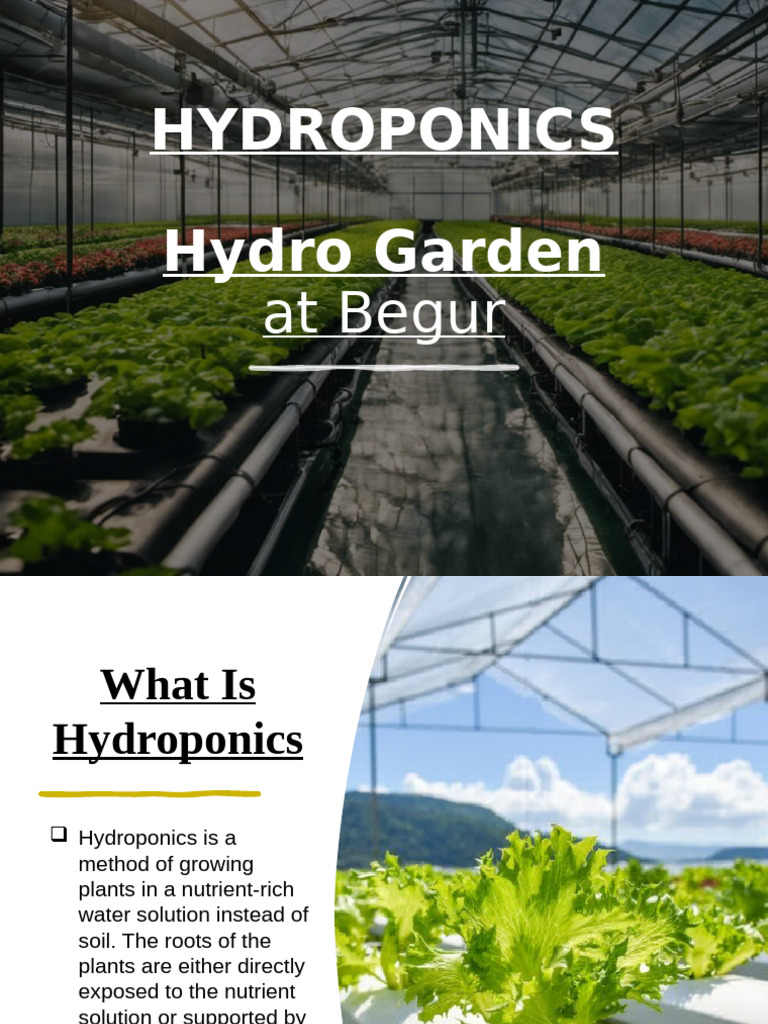 Hydroponics | PDF