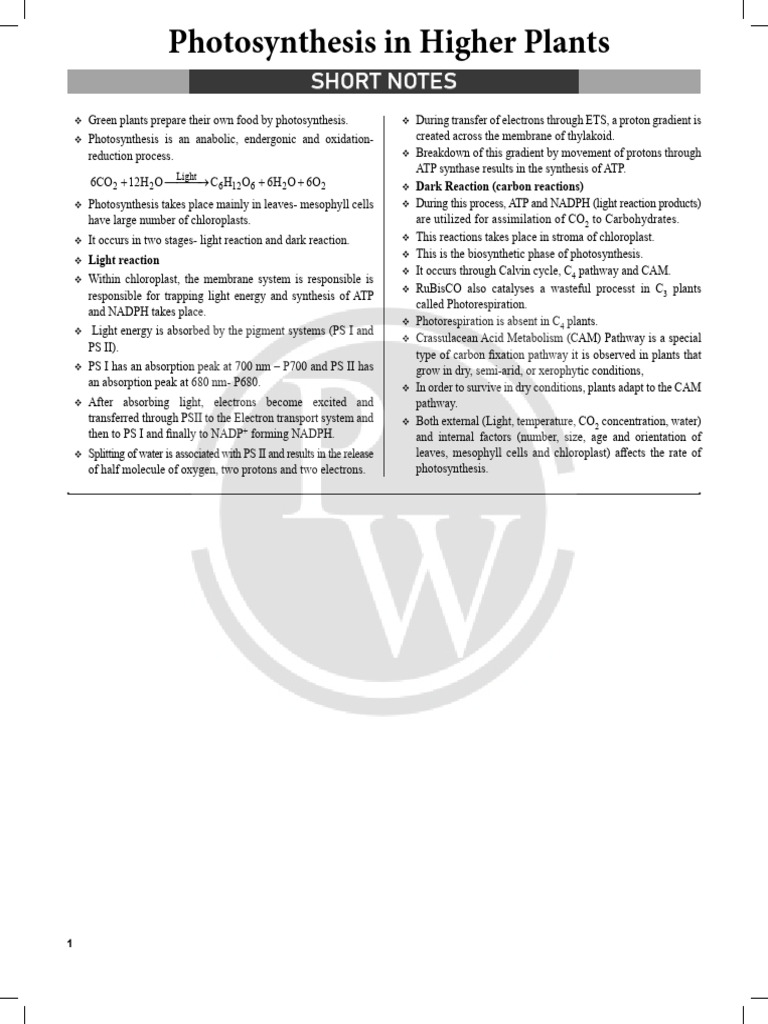 Photosynthesis in Higher Plants - Short Notes | PDF | Photosynthesis ...