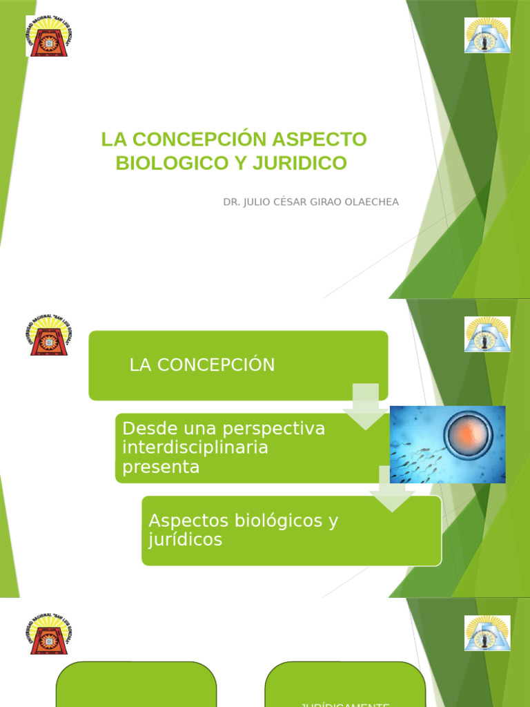 La Concepcion | PDF