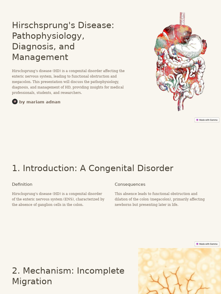 Hirschsprungs Disease Pathophysiology Diagnosis and Management | PDF ...