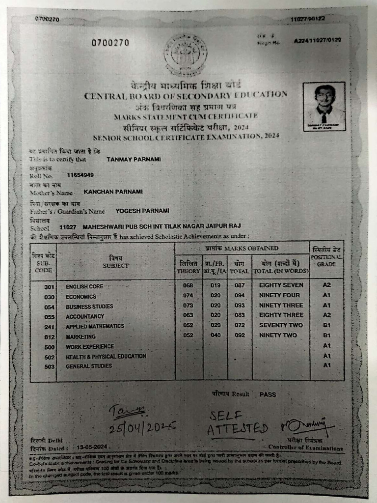 12th Marksheet (2024) - Tanmay Parnami | PDF