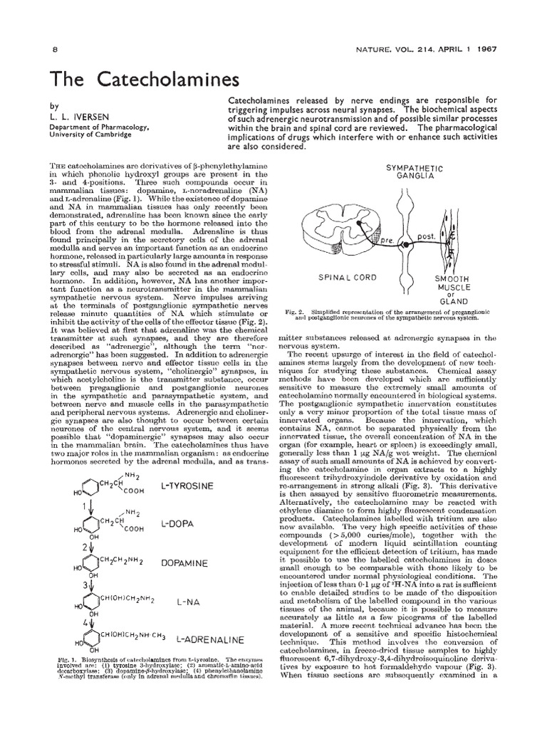 The Catecholamines | PDF