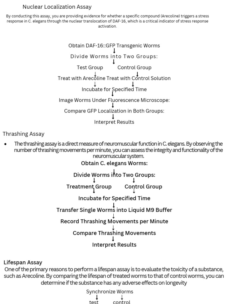 Obtain DAF-16GFP Transgenic Worms | PDF | Assay