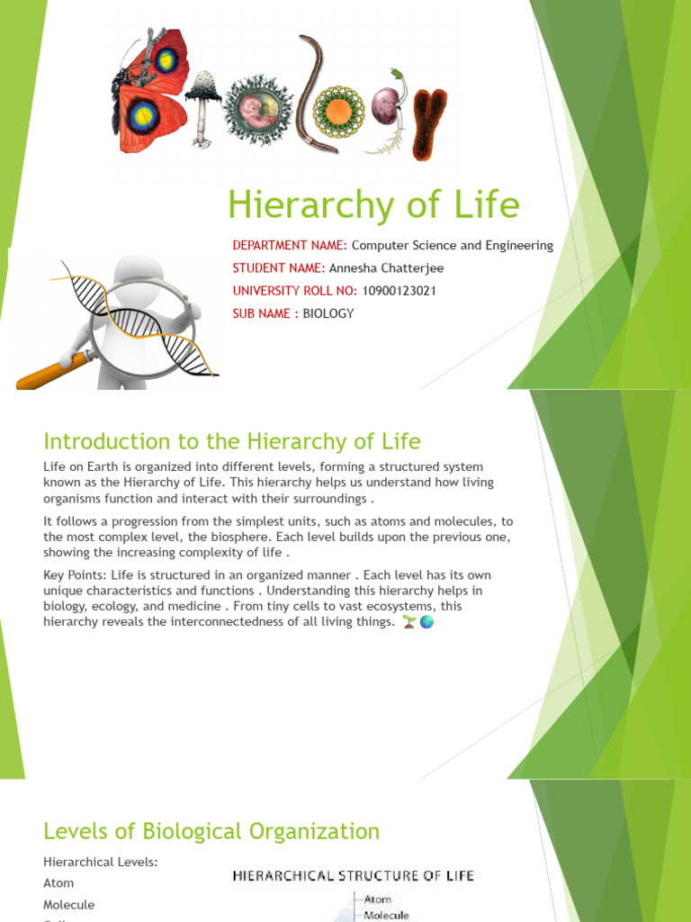Understanding the Hierarchy of Life | PDF | Life | Cell (Biology)