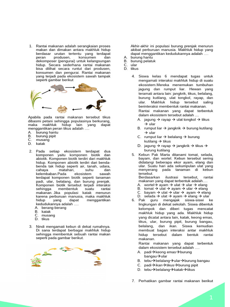 Rantai Makanan dalam Ekosistem Kebun | PDF