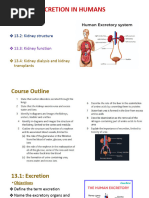Life Science Grade 11 Term 3 Notes | PDF | Kidney | Urine