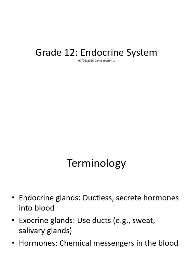 06_07_2025_Grade_12_Endocrine_System_Presentation[1] | PDF