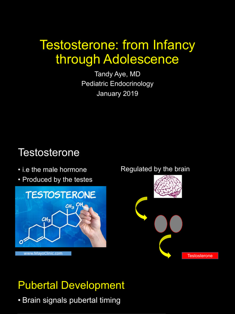 Testosterone - From Infancy Through Adolescence - 1!27!19 | PDF ...