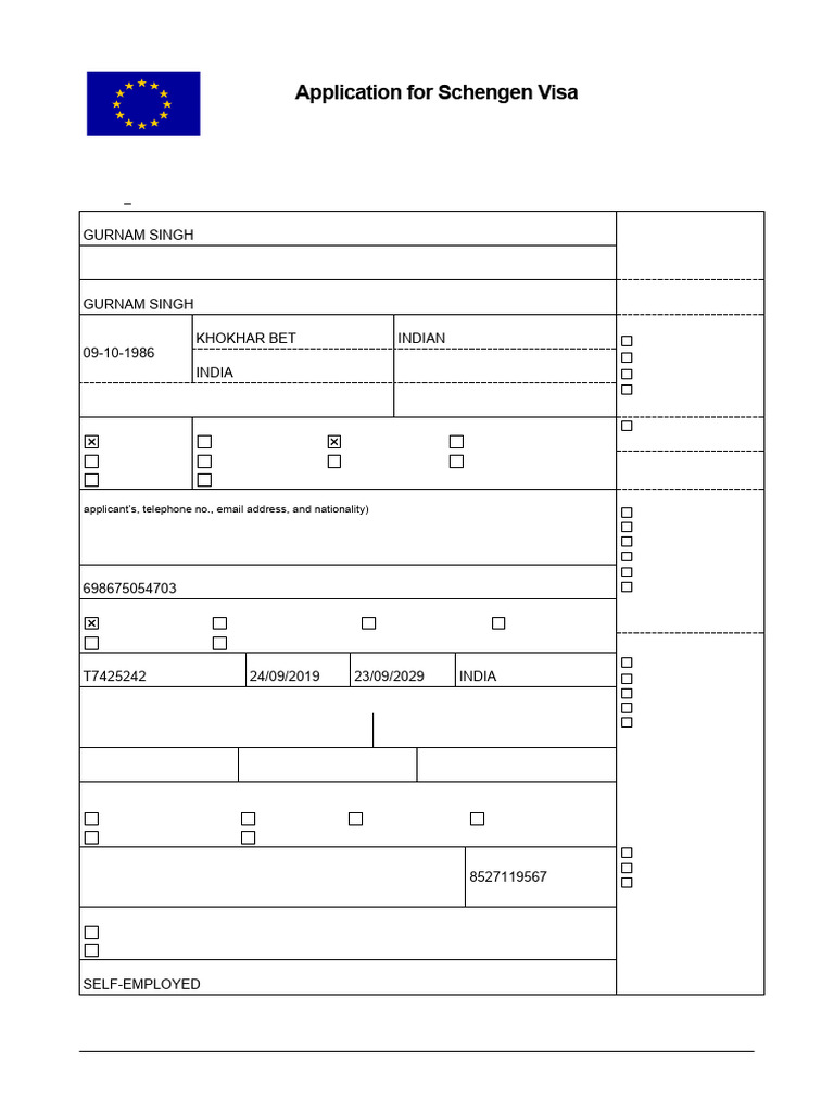 Schengen Visa Form (Sweden) | PDF | Travel Visa | Passport