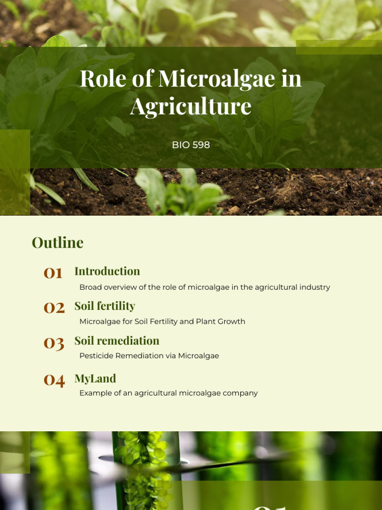 Role of Microalgae in Agriculture (BIO598) | PDF | Soil | Fertilizer