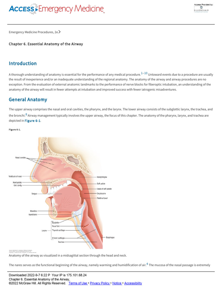 Chapter 6. Essential Anatomy of The Airway | PDF | Larynx | Human Head And Neck