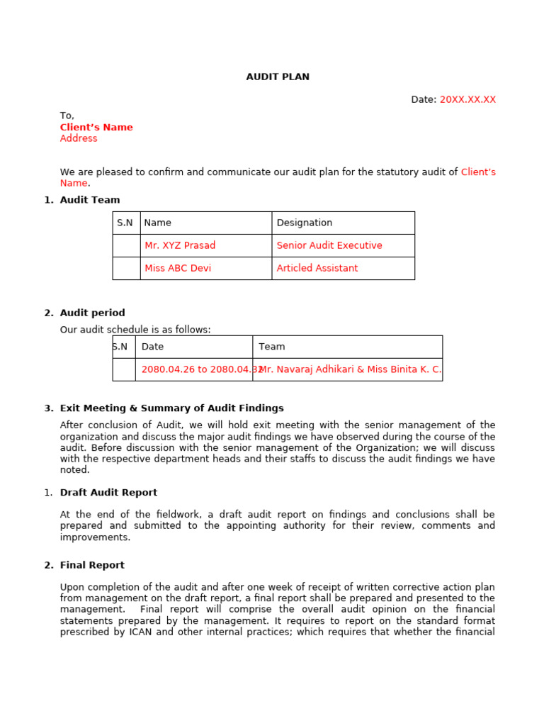 Audit Plan for Statutory Audit 2023 | PDF