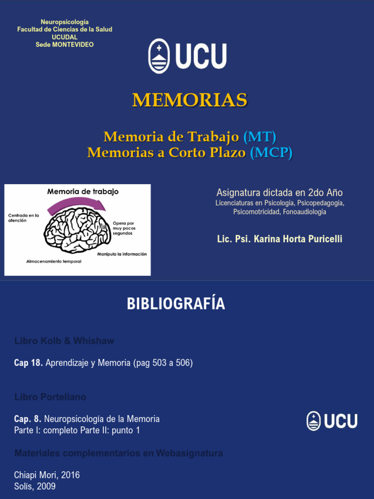 04a - MEMORIA Introduccion y Memoria de Trabajo | PDF | Memoria de trabajo | Atención