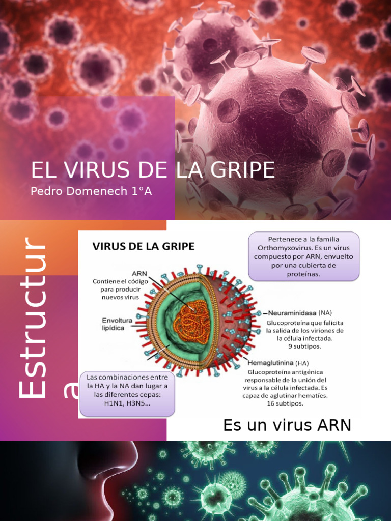 Biología Los Virus | PDF