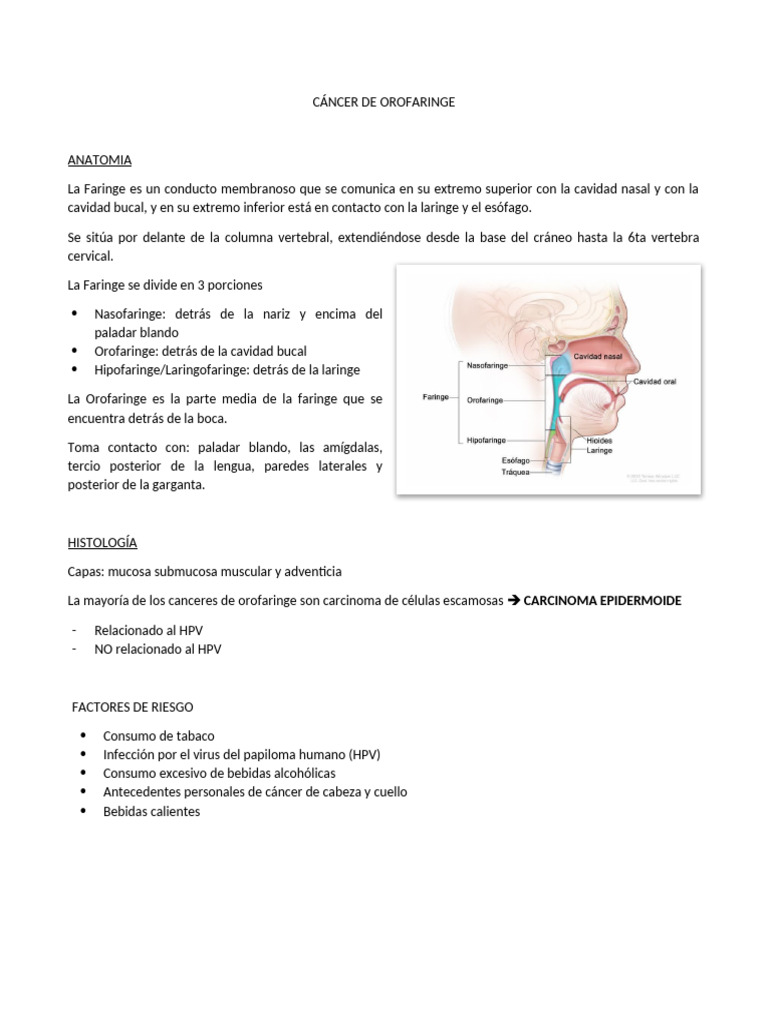 Cáncer de Orofaringe | PDF | Cáncer | Especialidades Medicas