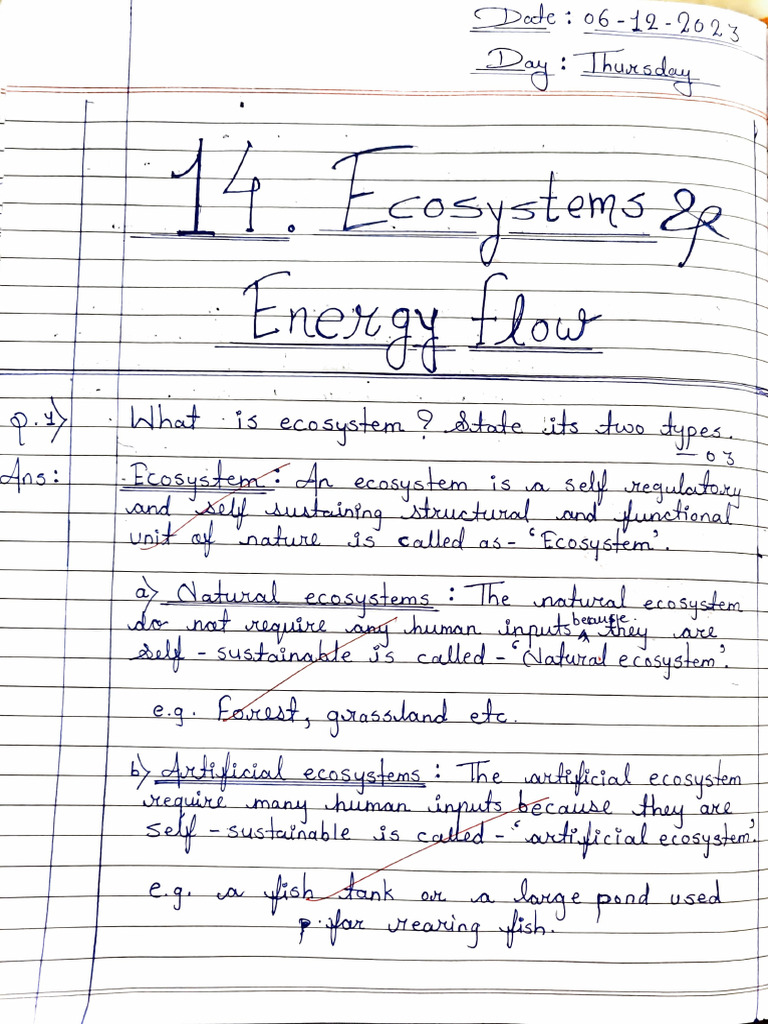 Ecosystem and Energy Flow | PDF | Nature | Biology