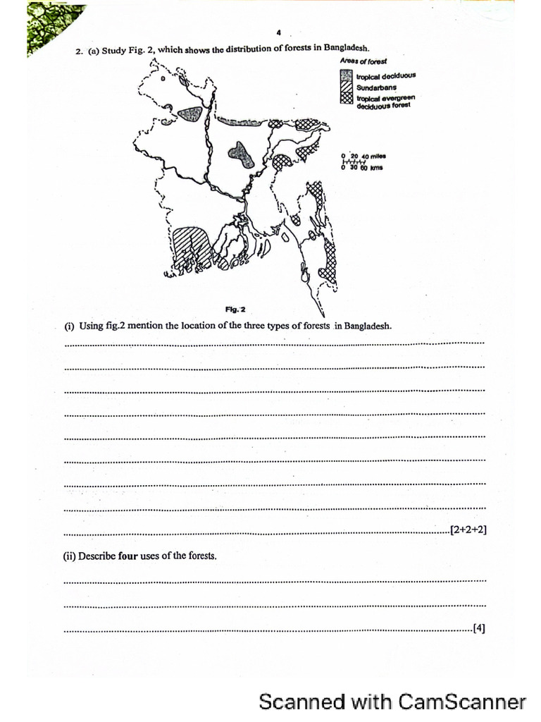 O Level Final Mock Paper 2 | PDF