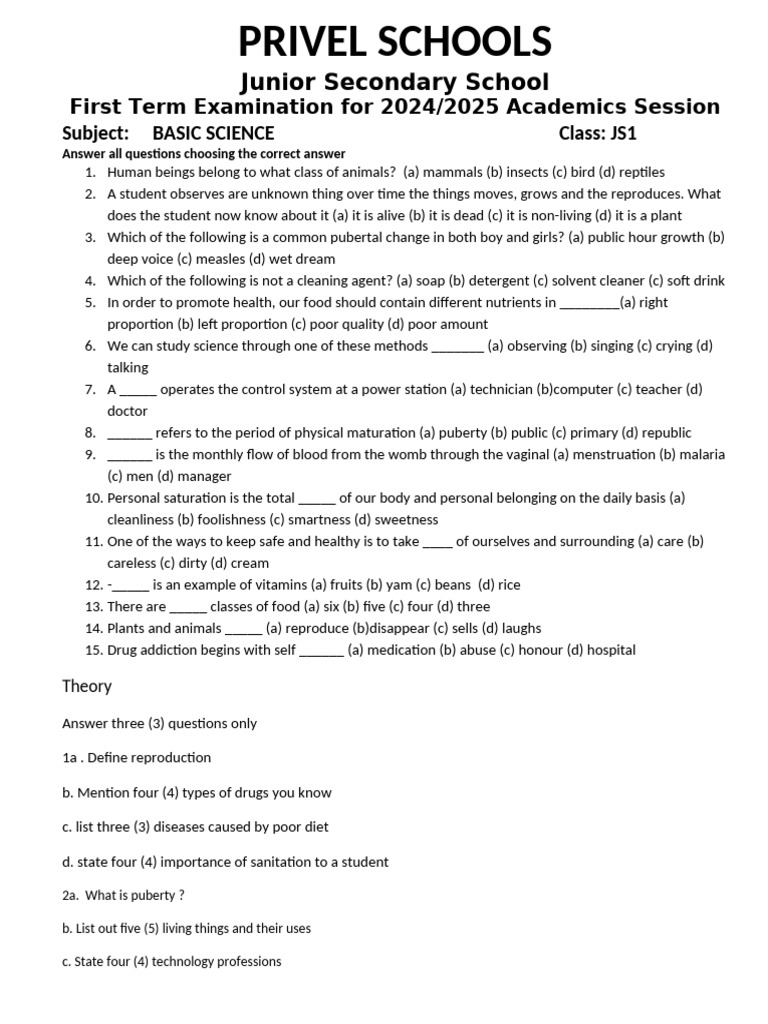 Dejot Team School Nusery Primary College | PDF