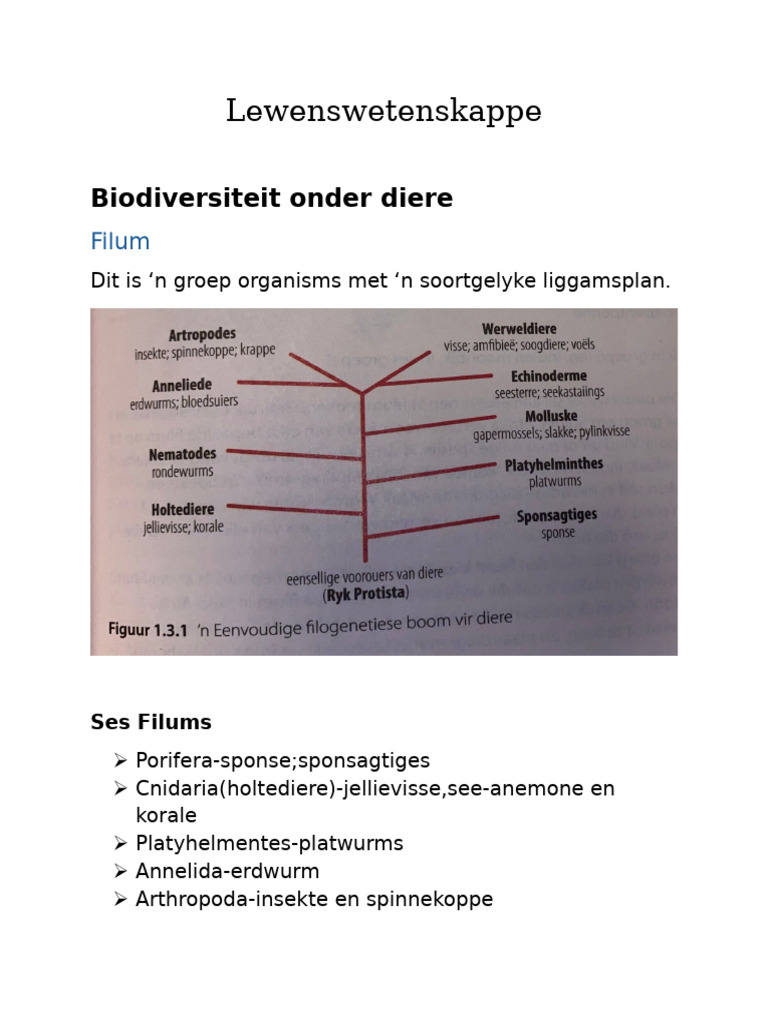 Lewenswetenskappe | PDF