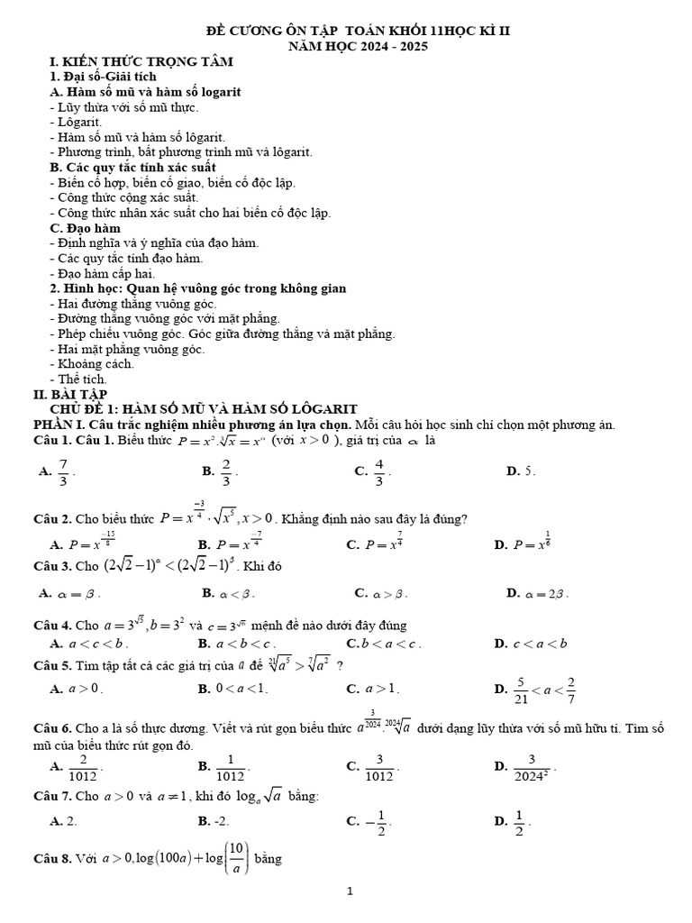 Đề Bài Đề Cương Hk 2 k11-2024- 2025 | PDF