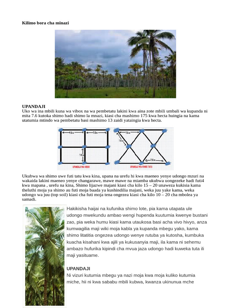 Kilimo Cha Minazi | PDF