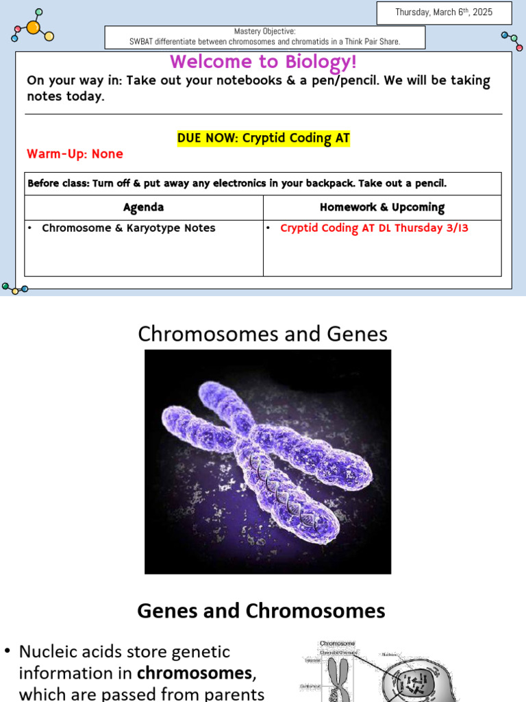 Chromosome and Karyotyping Notes | PDF | Chromosome | Dna