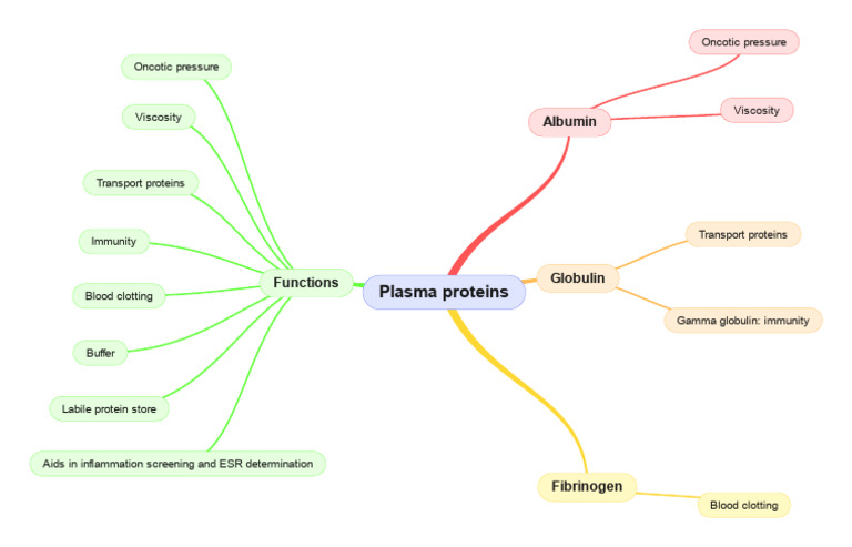 Plasma Proteins Functions | PDF | Blood Plasma | Body Fluids