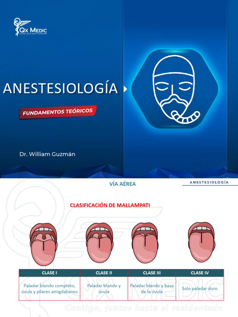 PI25 - FUNDAMENTOS TEÓRICOS - ANESTESIOLOGÍA | PDF