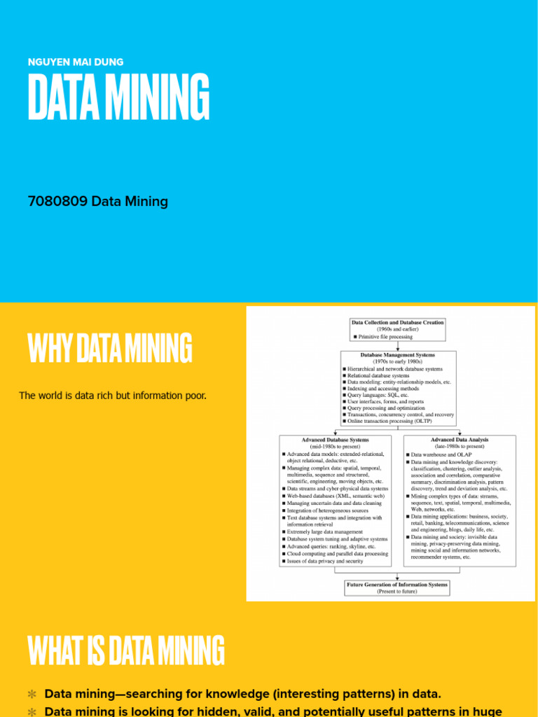 Chapter 1 Data Mining (Cont.) | PDF | Databases | Data Mining