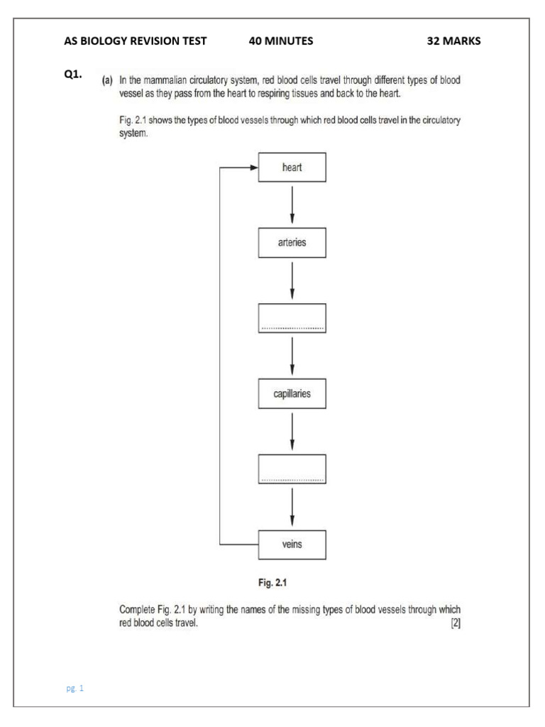 As Biology (32) R.test | PDF