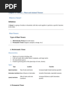 Nematode Species and Common Names List | PDF | Parasites | Plants
