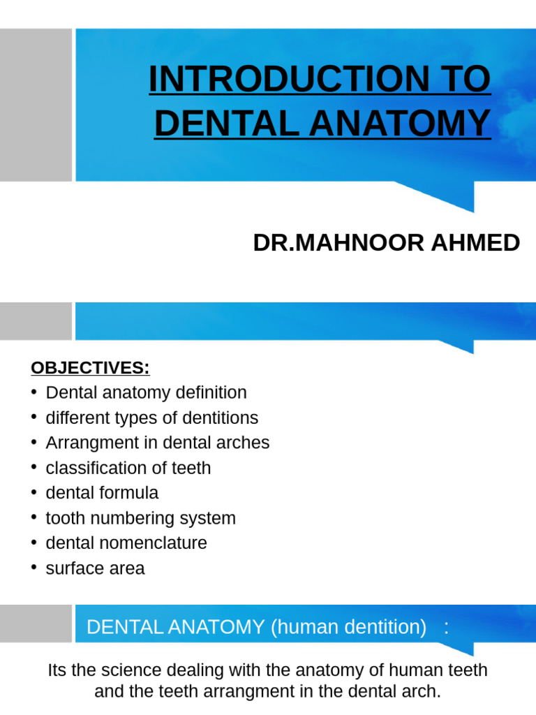 Introduction to Dental Anatomy 11 | PDF | Dental Anatomy | Dentistry