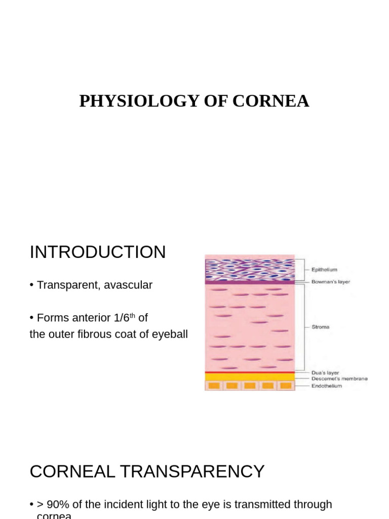 Physiology of Cornea | PDF | Cornea | Wound Healing