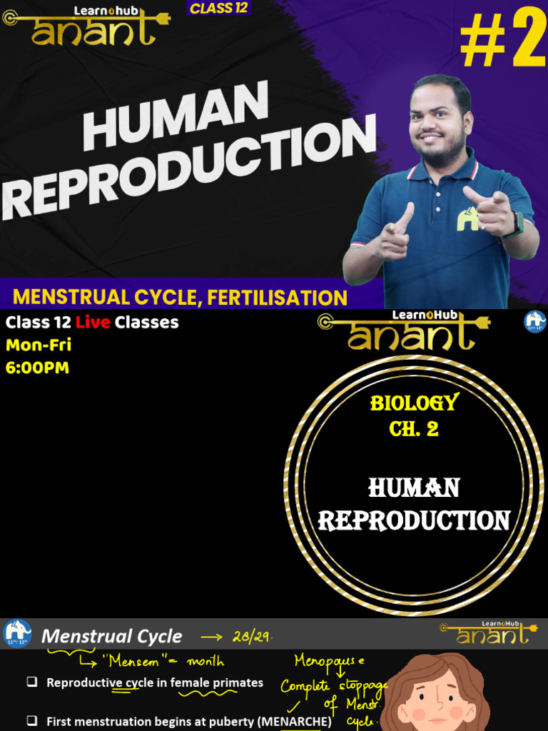 LIVE Class12HumanReproduction Part2 | PDF | Menstrual Cycle | Lactation