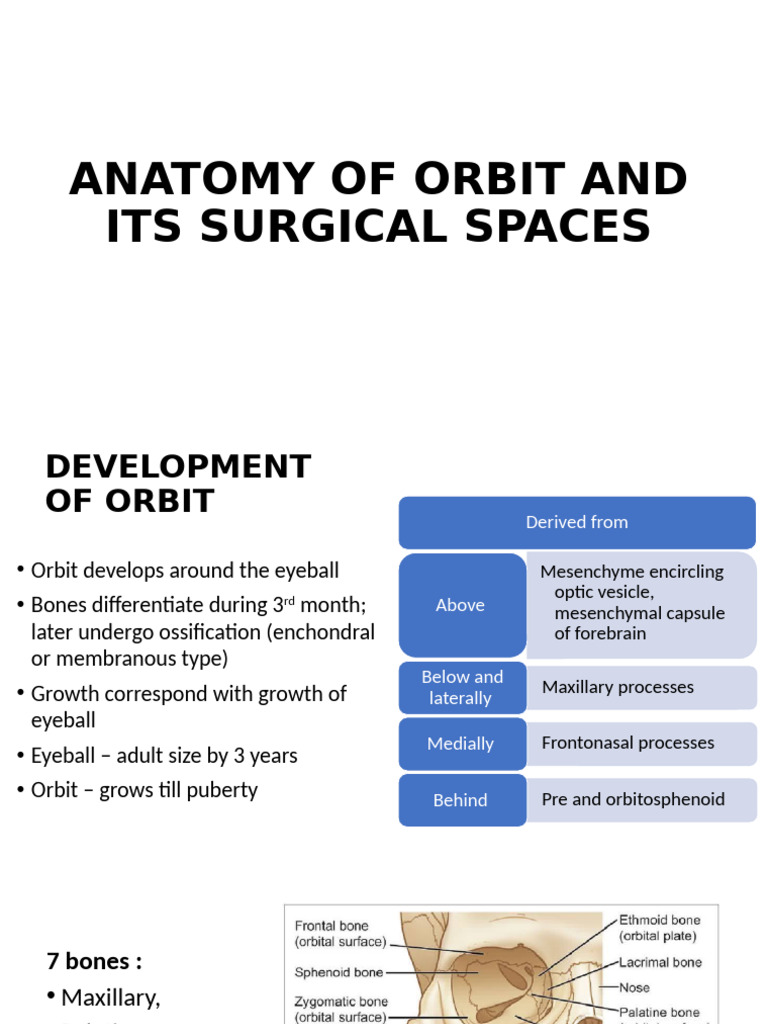 Anatomy of Orbit and Its Surgical Spaces | PDF | Skull | Human Head And Neck