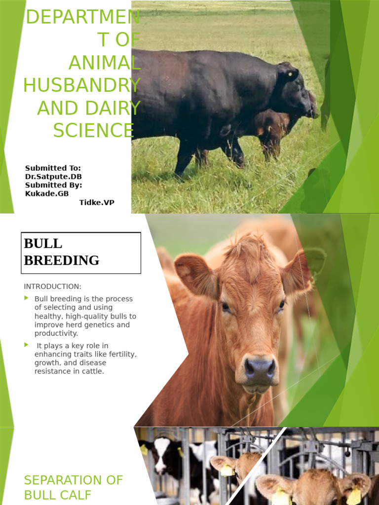 Presentation Vaibhav (1) - 24 | PDF