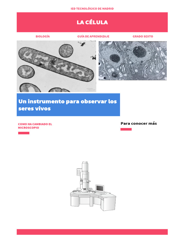 Impoprtancia y Evolución Del Microscopio (Grado Sexto) | PDF | Microscopio