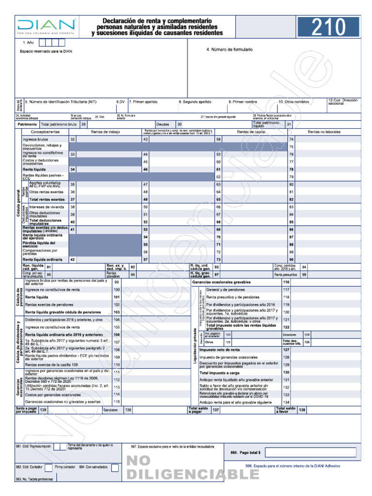 Formulario 210 Con Instructivo | PDF